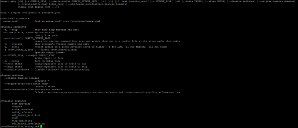GIXY: How to Install and Use Nginx Configuration Analyzer