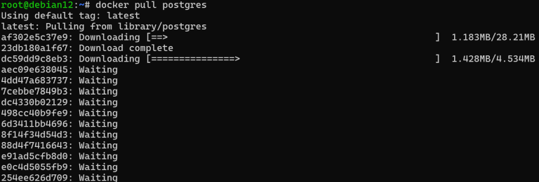 How to run container Docker PostgreSQL? ~ Serverspace.us