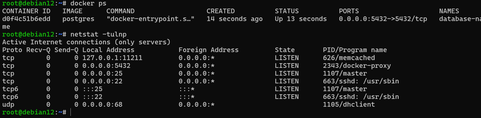 How To Run Container Docker Postgresql ~ 2082