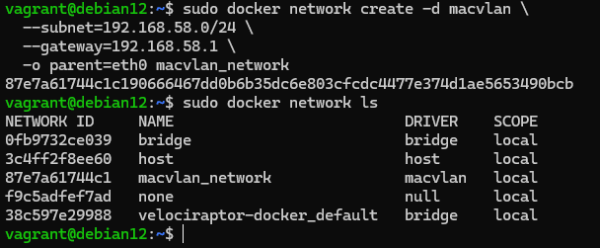 How to configure Docker Network? ~ Serverspace.us