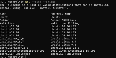 How to install WSL on Windows? ~ Serverspace.us