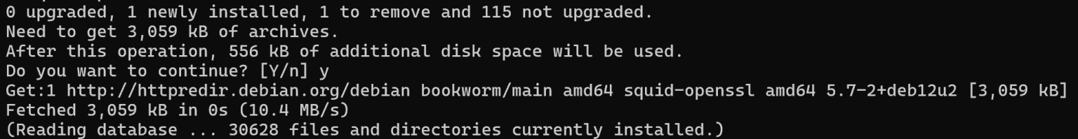 How to set up proxy on Linux client? ~ Serverpace.us